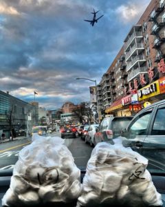 A Guide to Flushing, Queens [What to Do, Eat & Drink] - Bklyn Designs