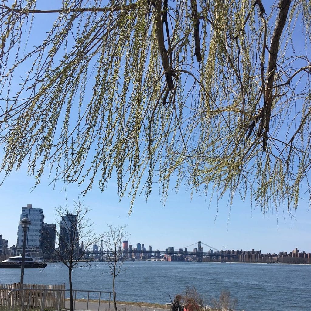 Top 20 New York City Skyline Views (From 5 Boroughs Of NYC With Address ...