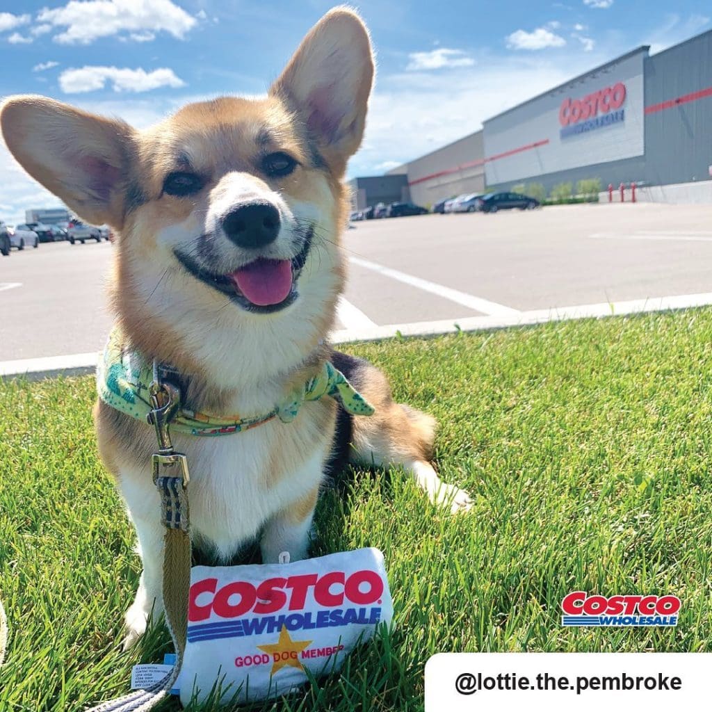 Costco Brooklyn Review; Hours, Wholesale and More - Bklyn Designs